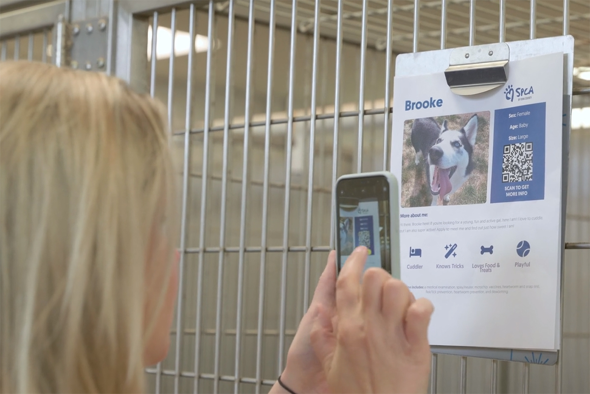 Introducing the Shelter Scan Interactive Kennel Card | York County SPCA