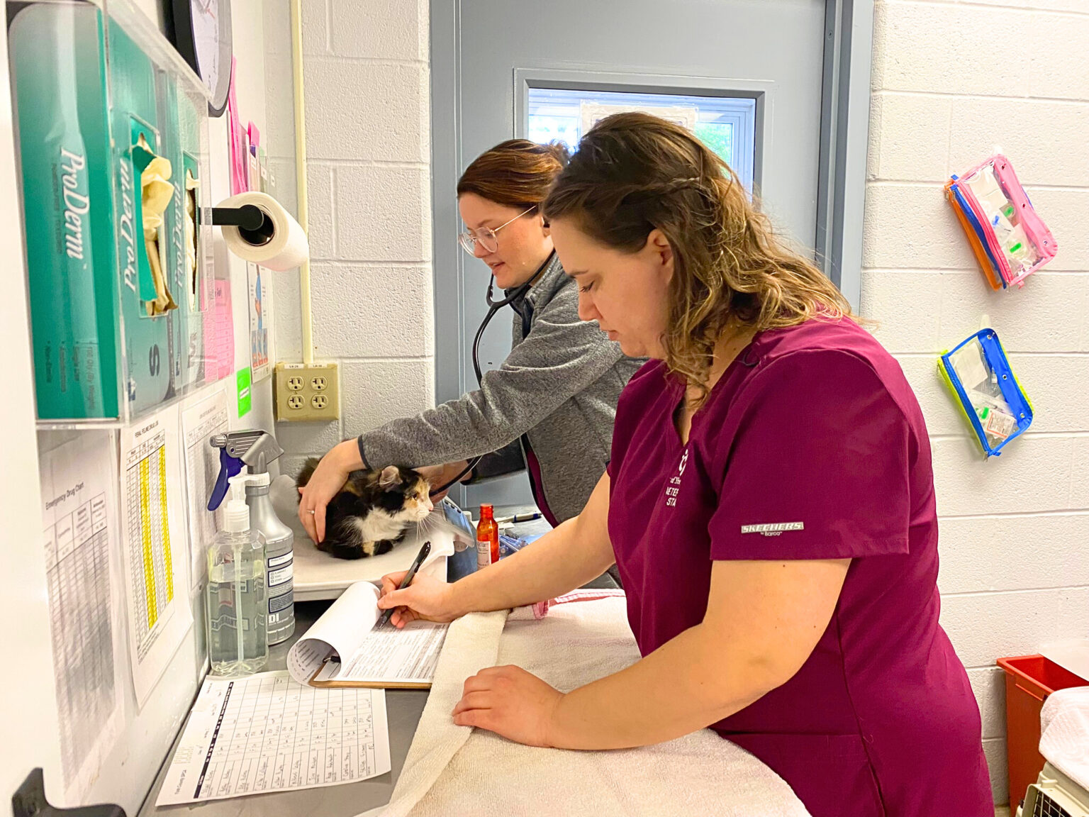 York County SPCA | Giving Animals A New Leash On Life