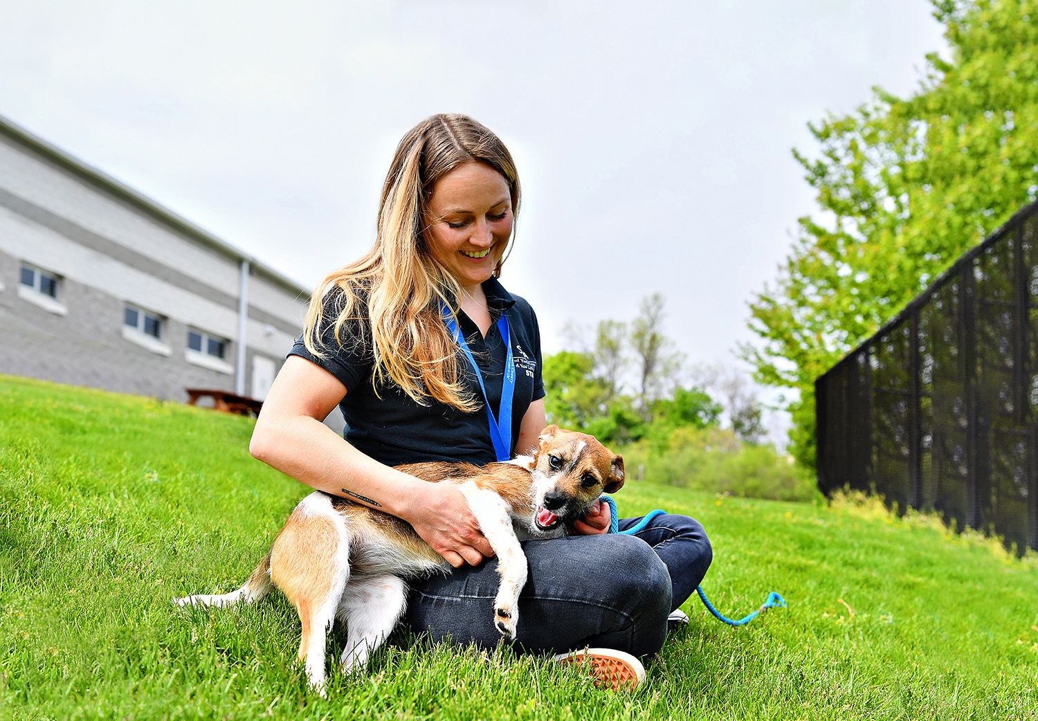 Foster at the York County SPCA: Be a Hero to a Homeless Pet