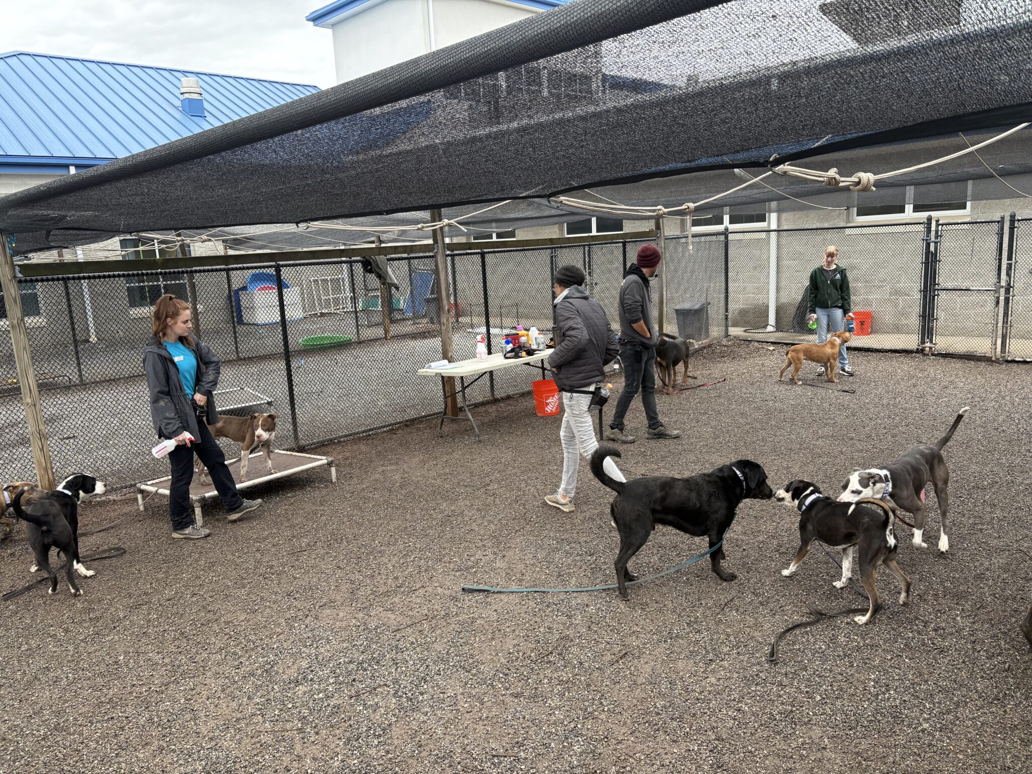 York County SPCA | Giving Animals A New Leash On Life
